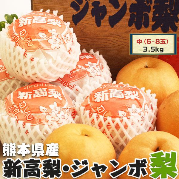 ■商品名： 新高梨・贈答用・ジャンボ梨 熊本県産 1箱 約3.5kg(6-8玉入り)・高級ギフト ■お届けの目安： 9月下旬頃から出荷開始予定 ※収穫状況によって申込締切・配達予定を変更する場合があります。 ※産地「直送品」となります。 ※...