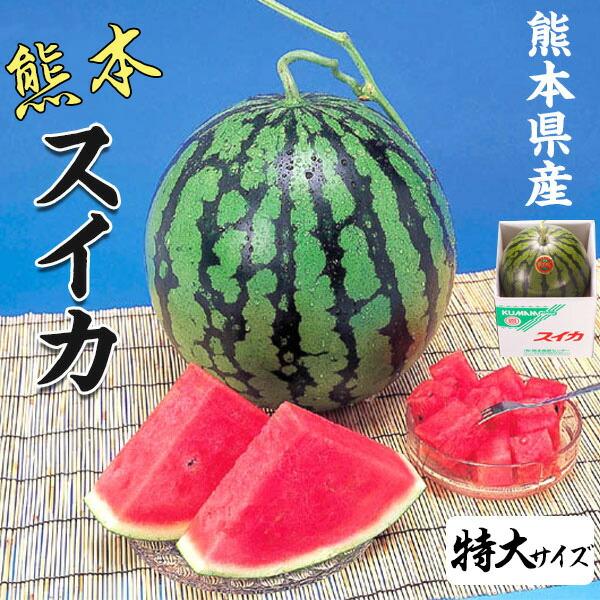 ■商品名： スイカ 熊本県産 1箱 特大サイズ・8kg(1玉) 高級すいか/等級：秀(赤) 贈答用 ギフト 100131 ■お届けの目安：3-7営業日前後で出荷予定 ※収穫状況によって申込締切・配達予定を変更する場合があります。 ※産地「直...