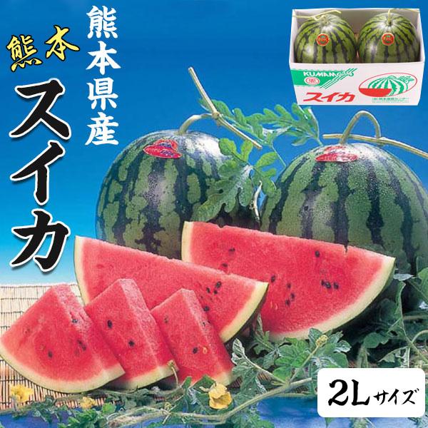 ■商品名： スイカ 熊本県産 1箱 2Lサイズ・7kg(×2玉セット) 高級すいか/等級：秀(赤) 贈答用 ギフト ■お届けの目安： 3-7営業日前後で出荷予定 ※収穫状況によって申込締切・配達予定を変更する場合があります。 ※産地「直送品...