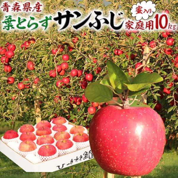 ■商品名： 青森りんご 葉とらずサンふじ 家庭用 10kg 林檎【青森県産】予約品：12月上旬前後〜出荷開始【出荷日お任せ・指定日不可】リンゴ フルーツ りんご農園直送 ■お届けの目安： 12月上旬頃入荷予定・出荷が早まる場合や遅れる場合も...