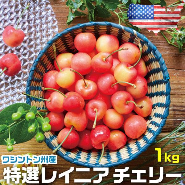 ■商品名： さくらんぼ アメリカン チェリー フルーツ 人気 大粒 果物 ギフト 特選レイニア チェリー 1kg ワシントン州産 百貨店品質 高糖度 高級レーニアチェリー お中元 00013K ■お届けの目安： 【6月20日〜8月9日の出荷...