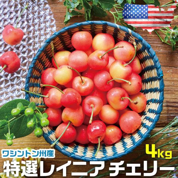 ■商品名： さくらんぼ アメリカン チェリー フルーツ 人気 大粒 果物 ギフト 特選レイニア チェリー 4kg ワシントン州産 百貨店品質 高糖度 高級レーニアチェリー お中元 00043K ■お届けの目安： 【6月20日〜8月9日の出荷...
