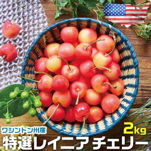 ■商品名： さくらんぼ アメリカン チェリー フルーツ 人気 大粒 果物 ギフト 特選レイニア チェリー 2kg ワシントン州産 百貨店品質 高糖度 高級レーニアチェリー お中元 00015K ■お届けの目安： 【6月中旬〜8月9日の出荷予...
