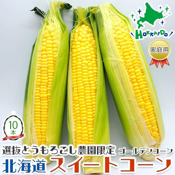 ■商品名： お中元 スイートコーン 北海道 産 とうもろこし ゴールデンコーン (おおもの) 10本セット 人気品種 北海道から産地直送 高級コーン (8月中旬〜9月中旬収穫・出荷) 夏ギフト 朝どれ 野菜 冷蔵便 予約品 ■お届けの目安：...