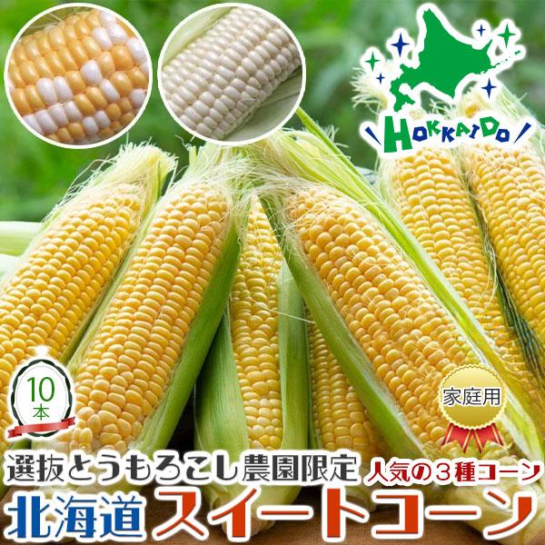 ■商品名： お中元 スイートコーン 北海道 産 とうもろこし 3種 食べ比べセット 合計10本セット 北海道人気の3種 ドルチェ ドリーム ホワイトコーン ゴールデンコーン 北海道から産地直送 高級 (8月中旬〜9月中旬収穫・出荷) 夏ギフ...