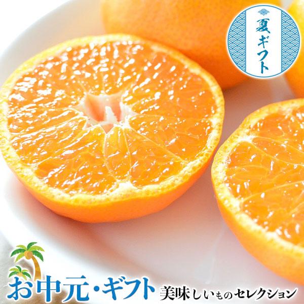 ■商品名： お中元 超小玉 ハウス みかん 佐賀県産 JAからつ 3〜4S 約2kg(目安として45〜64玉）簡易箱 ※常温｜ お取り寄せ フルーツ 贈物 御中元 204b11442 ■お届けの目安： お中元・ご注文後、通常1週間前後で出荷...