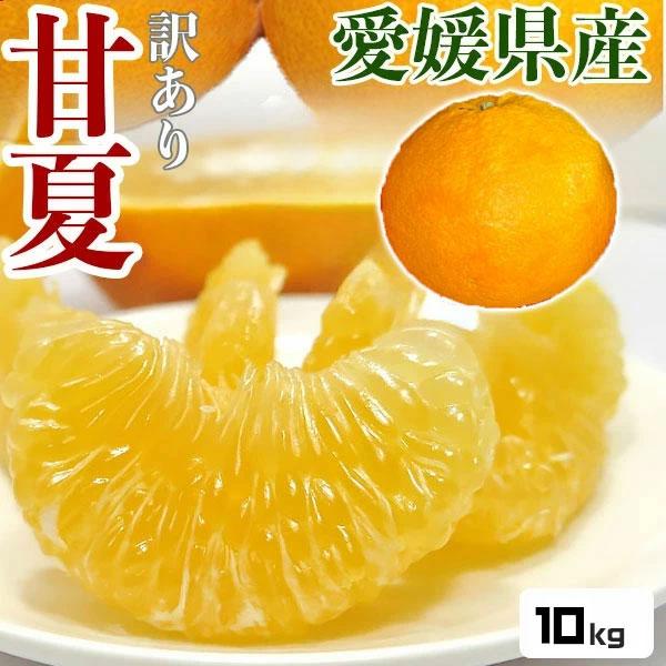 ■商品名： 甘夏 訳あり 10kg 1箱 お買得あまなつ 愛媛県産・L〜3Lサイズ 家庭用ギフト【出荷日お任せ・指定日不可】 ■お届けの目安： 土日祝を除く2〜5日前後の順次出荷予定【出荷日お任せ・指定日不可】※収穫によって遅れる場合がござ...