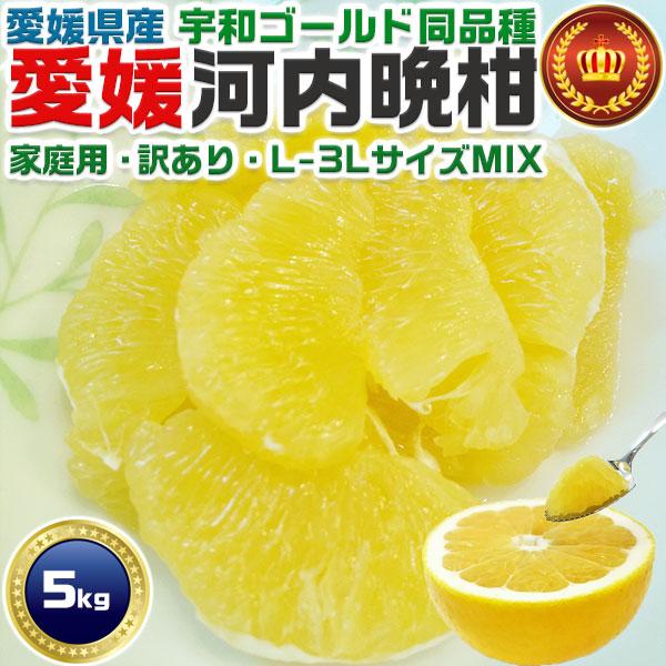 ■商品名： 愛媛 河内晩柑 5kg 訳あり L〜3Lサイズ混合(バラ詰め) 宇和ゴールド同品種 愛媛県愛南町産 柑橘みかん 果物 フルーツ 家族向けギフトにも ■お届けの目安： 土日祝を除く2〜5日前後の出荷予定 ※収穫によって遅れる場合が...