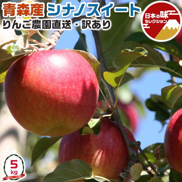 ■商品名：　青森県産 シナノスイート りんご 5kg 訳あり・ご家庭用　サイズ小玉（手のひらサイズ）｜アウトレット品　お試し　SDGs  家庭用ギフト・フルーツ　林檎　果物　Apple アップル　送料無料■お届けの目安：　収穫次第順次 3〜...