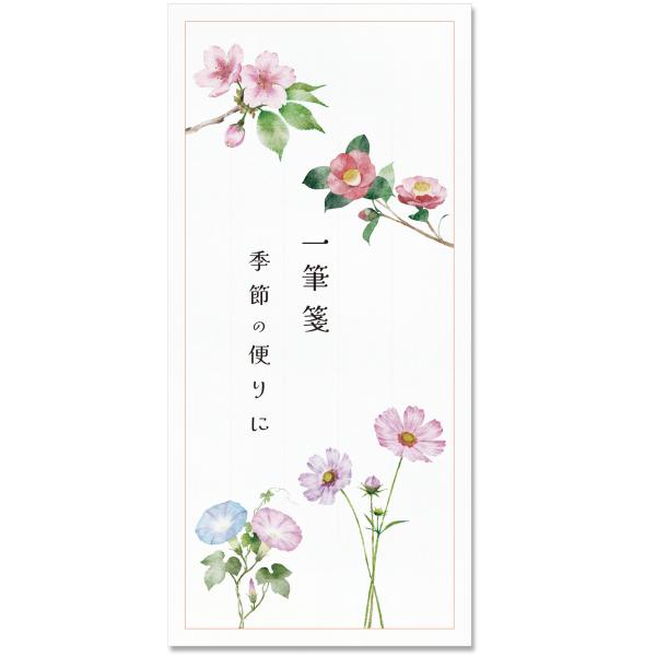 ※日本郵便・ポスト投函で追跡番号はありません。※郵便受け投函後の紛失、盗難、商品破損等によっての当店または　配達業者による補償は一切ありませんのでご了承ください。※宅配便商品と同時注文の場合は宅配便になります。-＊-＊-＊-＊-＊-＊-＊-...