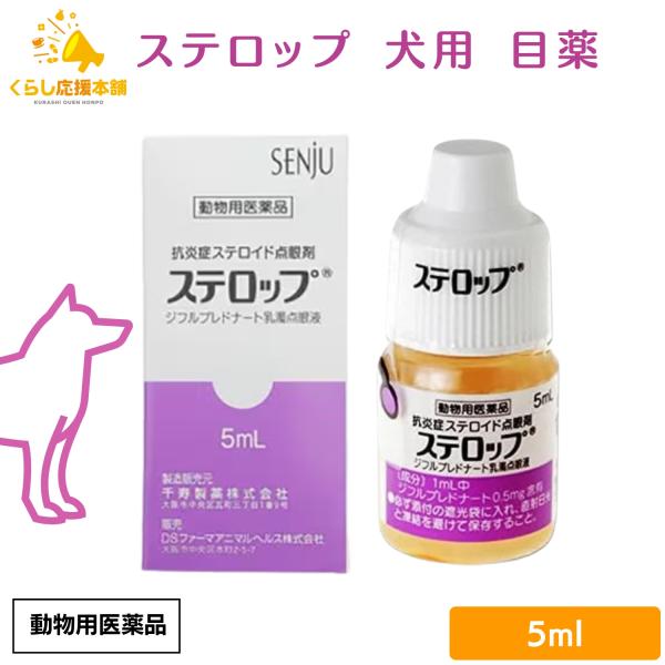 抗炎症ステロイド点眼剤イヌの結膜炎、角膜炎、眼瞼炎、ぶどう膜炎の治療に