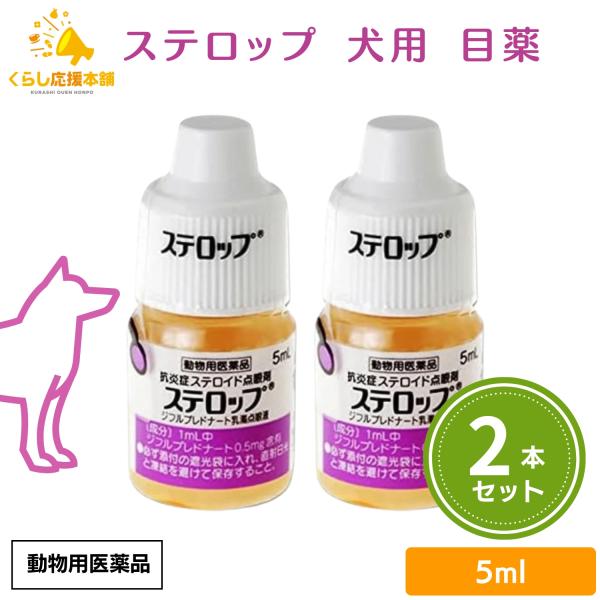 抗炎症ステロイド点眼剤イヌの結膜炎、角膜炎、眼瞼炎、ぶどう膜炎の治療に