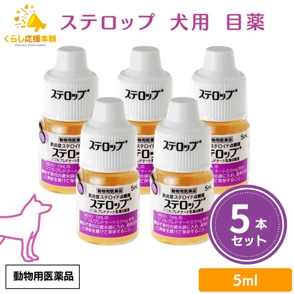 抗炎症ステロイド点眼剤イヌの結膜炎、角膜炎、眼瞼炎、ぶどう膜炎の治療に