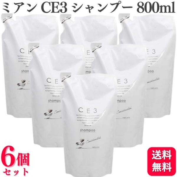 植物混合エキスを配合し、両性界面活性剤を中心にした洗浄基剤が髪・頭皮を保護し、サロン技術者の手肌にやさしいノンシリコンシャンプーです。