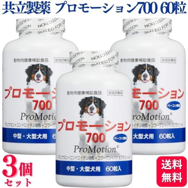 関節の健康維持のために