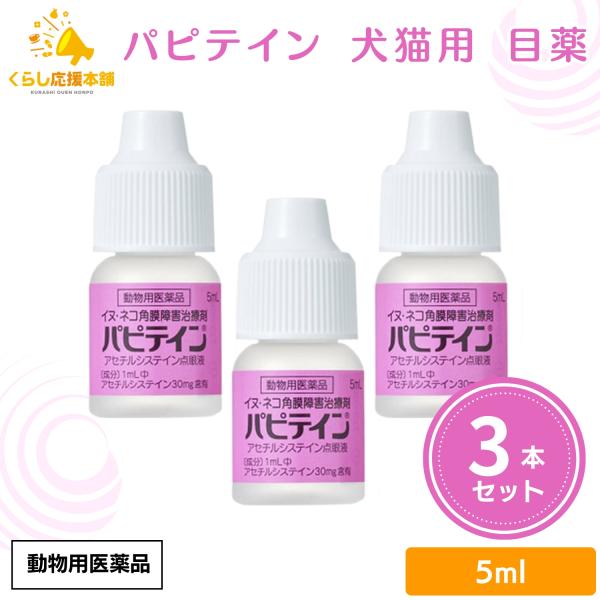 このお薬は創傷性角膜炎や角膜潰瘍における角膜障害の治療のために使う目薬です。角膜に傷がつくと、細菌や角膜から産生されるコラゲナーゼ（タンパク質分解酵素）によって障害がひどくなります。パピテインはコラゲナーゼの働きを抑えて、角膜障害を改善します。
