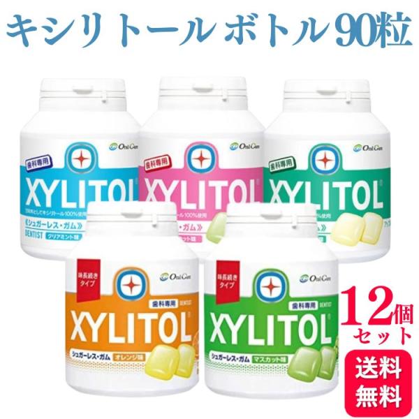 【選べる】【12個セット】オーラルケア キシリトールガム 90粒 アップルミント クリアミント マスカット 味長続きオレンジ 味長続きマスカット    ガム む力 虫歯 予防 対策 100％ 配合 歯 くっつきにくい 咀嚼力 健康習慣 歯科...