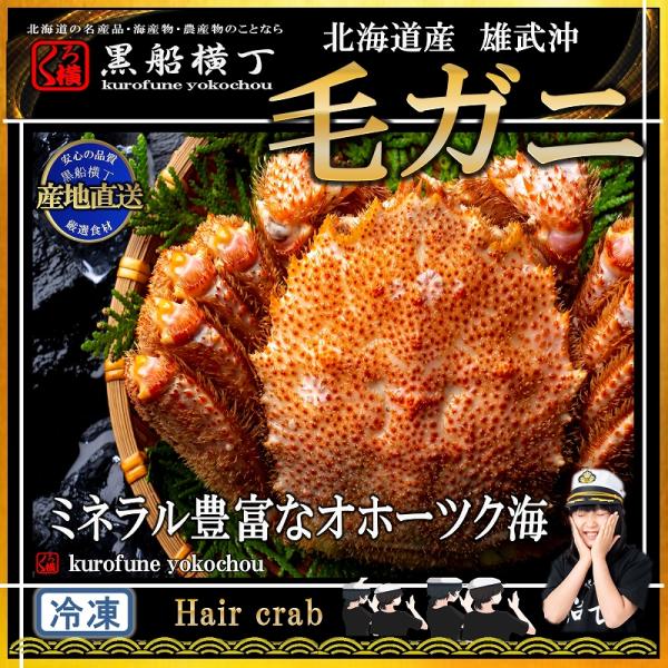 ※この商品は毛がにが水揚げ後の発送になります。海の状態によっては指定日にお届け出来ない場合もありますので、ご了承願います。厳寒のオホーツク海で育った身のしまった毛がに。獲れたての醍醐味を逃がさないよう直ぐに浜ゆでし、産地の味そのままに急速冷...