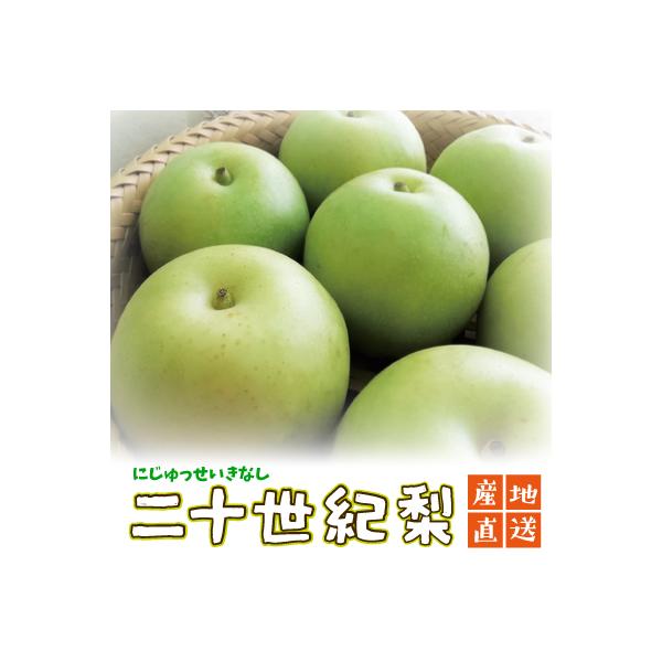【発売日：2026年09月25日】