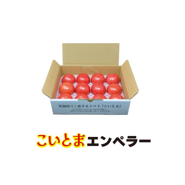 こいとま【兵庫県養父市より産地直送お届け】■エンペラー（0.8〜1ｋｇ）エンペラーはコクがあり、濃い味が特徴のトマトです。サラダはもちろん、いろいろなお料理との相性も抜群です。■常温便にてお届け※産地直送のため日にちのご指定はできません。※...
