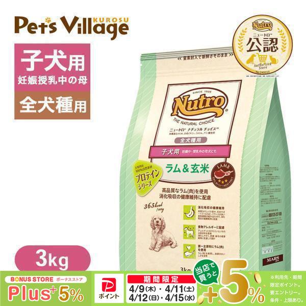 賞味期限：2027年2月28日