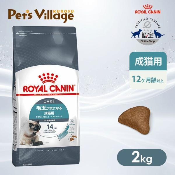 賞味期限：2026年10月10日