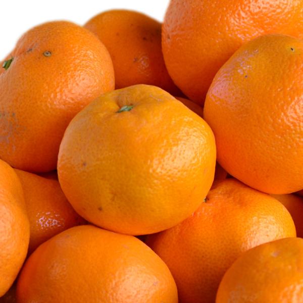 みかんの名産地、和歌山県産のみかんです。皮が青いものも入る場合がございます。ご了承ください。箱込・保証分込で約8kgとなります。（約7kg＋保証分500g）サイズ：2Lサイズ以上（片寄る場合あり）訳あり・ご家庭用（傷・枝すれ葉すれ・汚れ・黒...