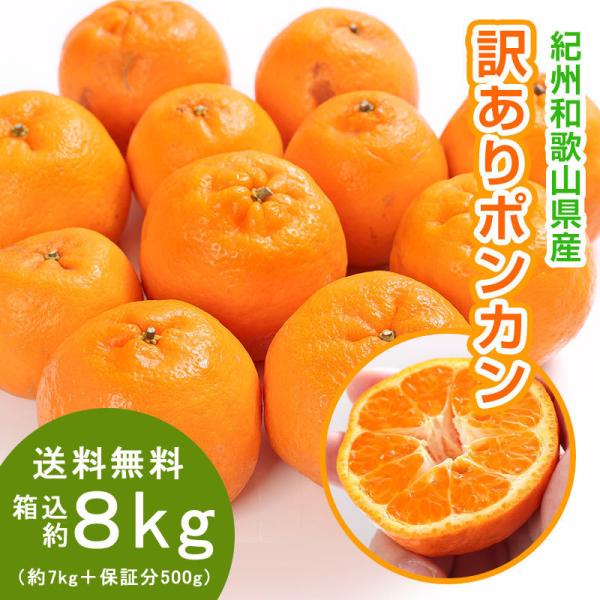 和歌山県産のポンカンです。箱込・保証分込で約8kgとなります。（約7kg＋保証分500g）サイズ：大小混合（片寄る場合あり）小さいサイズのものに片寄る場合もございます。訳あり・ご家庭用（傷・枝すれ葉すれ・汚れ・黒点・日焼け等あり）のし等・ギ...