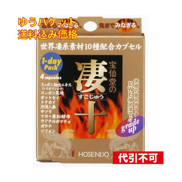 株式会社宝仙堂