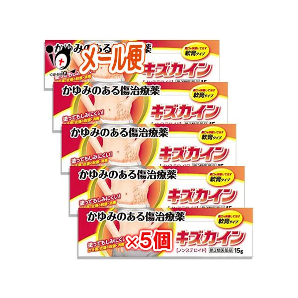 【第2類医薬品】キズカイン 15gかゆくてなかなか治らない、掻きこわしてできた”かき傷”に！● かゆみのある傷に適した３つの有効成分傷口の化膿を防ぐ殺菌消毒成分と２つのかゆみを鎮める成分が、かゆみのある傷に浸透し、しつこいかゆみを素早く鎮め...