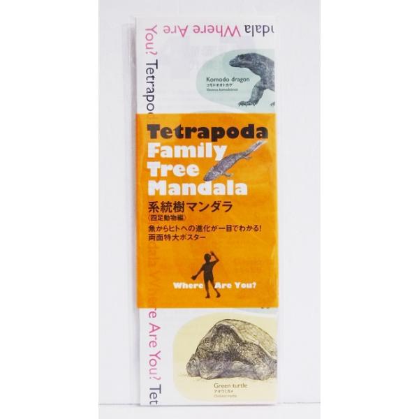 『Tetrapods Family Tree Mandala系統樹マンダラ・シリーズ 四足動物編』・魚からヒトへの進化が一目でわかる！　両面特大ポスター。・ひとつの共通祖先から、　現在の地球上に生きる多様な生き物への　進化の繋がりを一枚の絵...