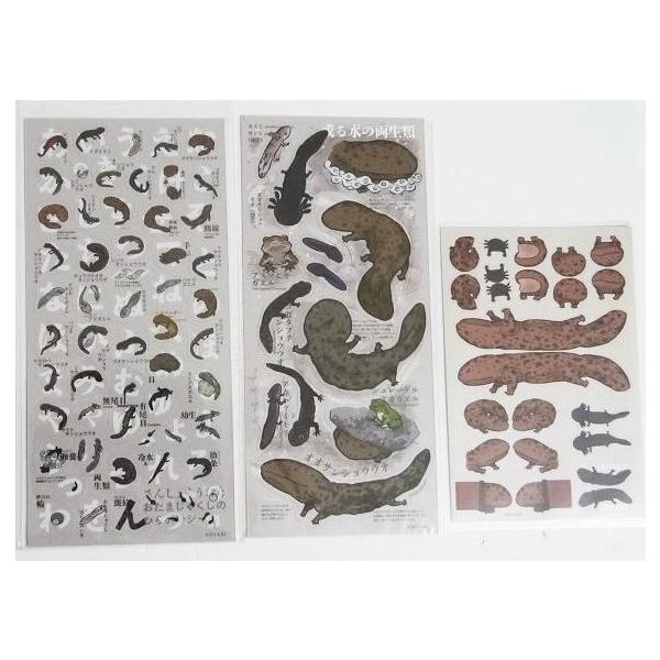 『オオサンショウウオ シール：3種セット』　NOTARI・オオサンショウウオやアズマヒキガエルなど、　おおきくてのんびりしたいきものシールです。・インデックスシール（オオサンショウウオ）　サイズ：100×148mm　透明シール：A（或る水の...
