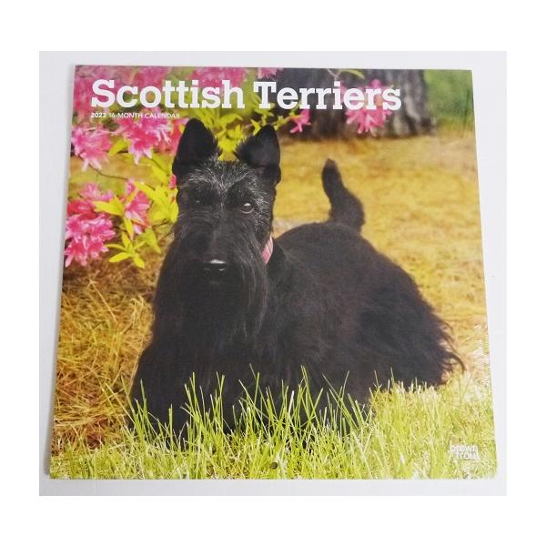 輸入2023年犬カレンダー「スコティッシュ・テリア」『Scotish Terriers　2023』　月めくり形式で、上部に写真、下部に日付（メモ欄あり）　のデザインです。　30cm×30cm。 2023年 1月〜12月まで。未開封新品です。...