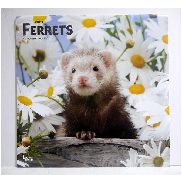 輸入2021年カレンダー「フェレット」『Ｆerrets 2021』　月めくり形式で、上部に写真、下部に日付（メモ欄あり）　のデザインです。　30cm×30cm。 2021年　1月〜12月まで。未開封新品です。発送は定形外郵便510円を予定し...