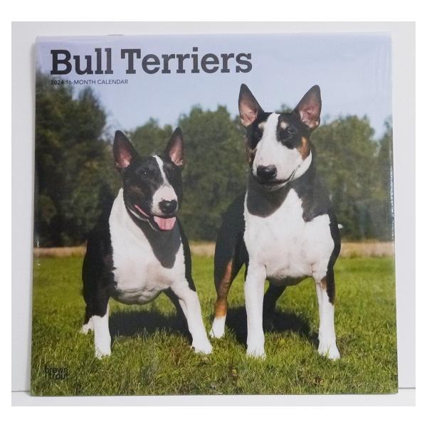 輸入2024年犬カレンダー「ブルテリア」『BULL TERRIERS』　月めくり形式で、上部に写真、下部に日付（メモ欄あり）　のデザインです。　30cm×30cm。 2024年　1月〜12月まで。未開封新品です。発送は定形外郵便510円を予...