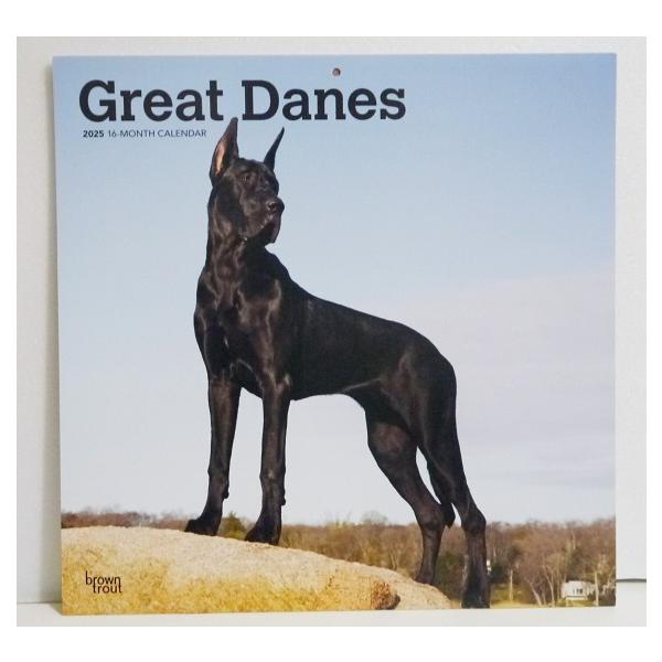 輸入2025年犬カレンダー「グレートデン」『GREAT DANES 2025』月めくり形式で、上部に写真、下部に日付（メモ欄あり）のデザインです。30cm×30cm。 2025年　1月-12月まで。未開封新品です。発送は定形外郵便660円を...