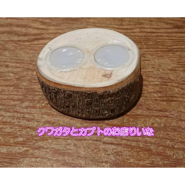 【発売日：2019年06月13日】エサゼリーの固定に使用して下さい。