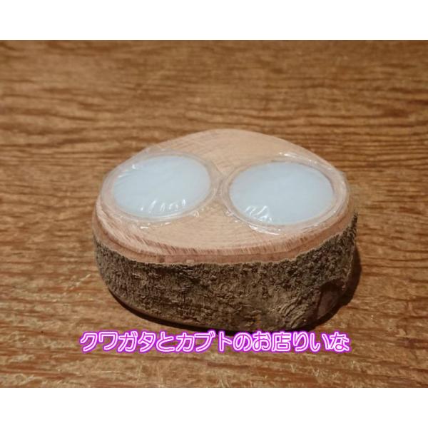 【発売日：2019年06月13日】エサゼリーの固定に使用して下さい。