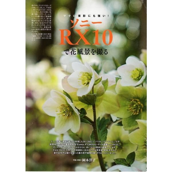 Sony ソニー RX10 で花風景を撮る  /フォトコン特別付録(未使用美品)・全 6頁・メール便  発送、可能商品です。