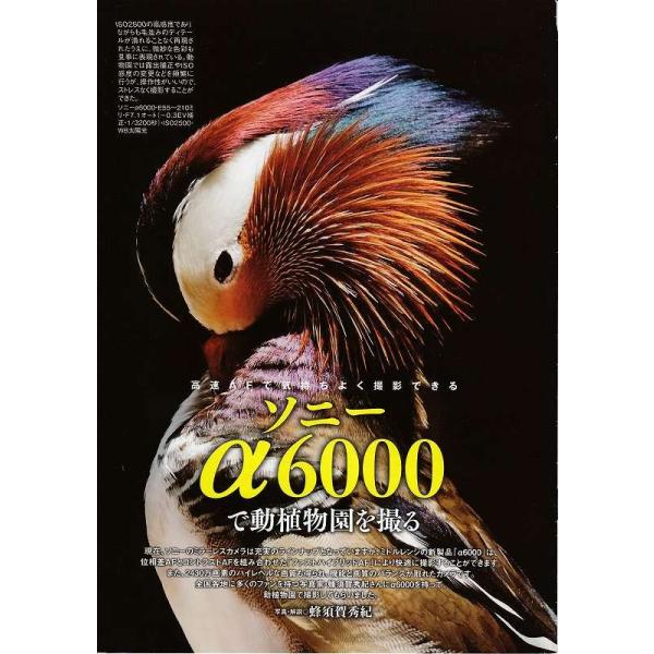 Sony ソニー α6000 で動植物園を撮る  /フォトコン特別付録(未使用美品)・全 6頁・メール便 発送、可能商品です。