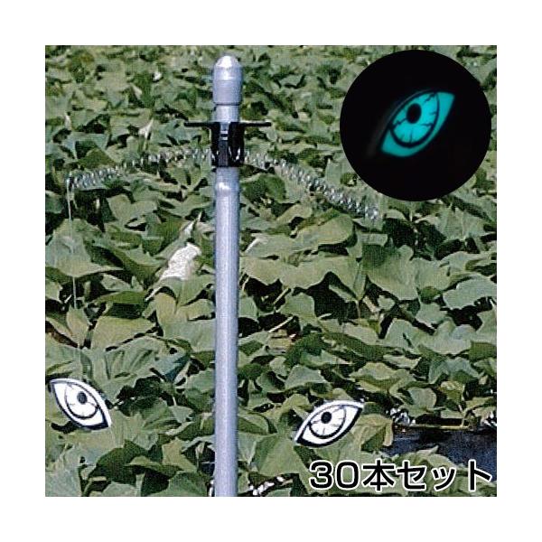 夜に光るオオカミの目がイノシシを威嚇！支柱ごと土に刺すだけの簡単設置。オオカミの目を模した目玉が夜間ブルーに光、風でランダムに揺れることで、イノシシを警戒させ寄せ付けません。昼間の太陽光を蓄え、夜間8時間くらい自発光します。電源や配線などは...