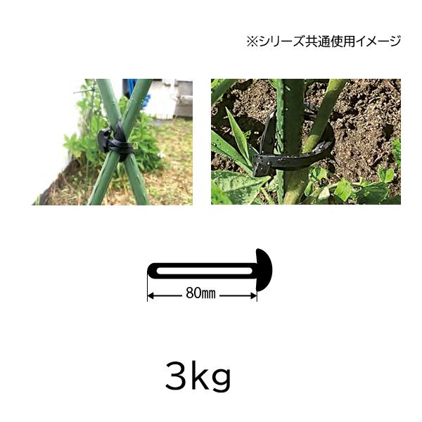 イボ竹など支柱の結束、茎の誘引、ネットの固定などに。アンカーをバンドにかけるだけだから、素早く、楽に作業できます。素材は直射日光・雨・風に強いEPDM（電線被膜と同じ）。袋止めに使ったり、工具の整理などにも使用できる結束ゴムバンドです。・内...