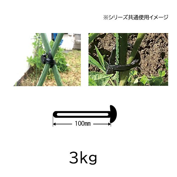 イボ竹など支柱の結束、茎の誘引、ネットの固定などに。アンカーをバンドにかけるだけだから、素早く、楽に作業できます。素材は直射日光・雨・風に強いEPDM（電線被膜と同じ）。袋止めに使ったり、工具の整理などにも使用できる結束ゴムバンドです。・内...