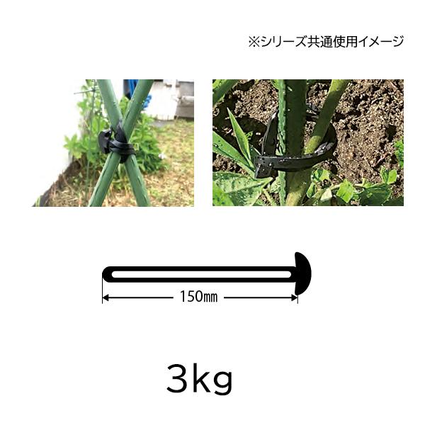 イボ竹など支柱の結束、茎の誘引、ネットの固定などに。アンカーをバンドにかけるだけだから、素早く、楽に作業できます。素材は直射日光・雨・風に強いEPDM（電線被膜と同じ）。袋止めに使ったり、工具の整理などにも使用できる結束ゴムバンドです。・内...