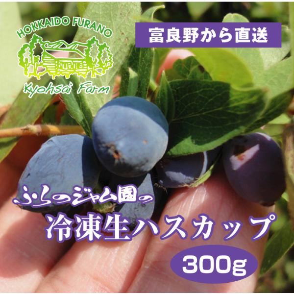 [冷凍商品は10,000円以上ご購入で送料無料！]内容量：300ｇ富良野のテロワールの恩恵を十二分に受けたハスカップを、とれたてのまま、その日のうちに急速冷凍して美味しさと栄養をしっかり閉じ込めました。当園のスタッフたちが果実の成熟度を見極...