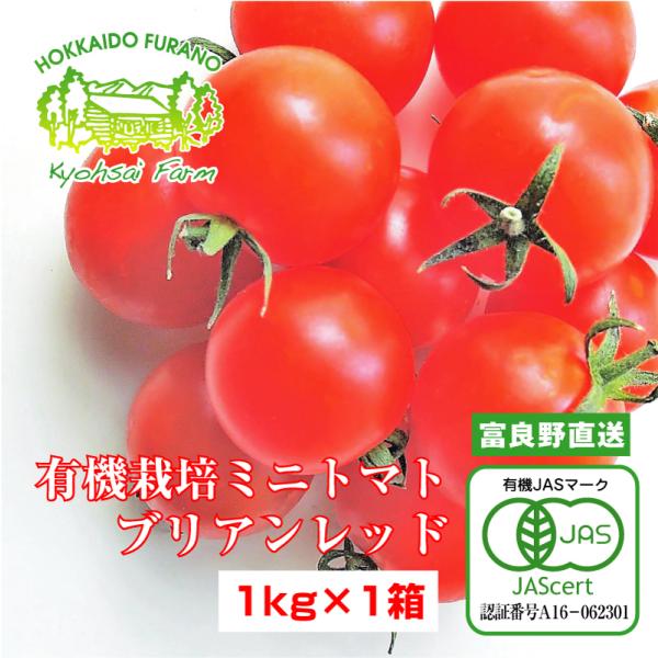 【発売日：2026年06月22日】有機栽培ミニトマト ブリアンレッド１kg×１箱安心・安全の有機農場で栽培されたオーガニックミニトマトです。市場で品質五つ星と高い評価を受ける「ブリアンレッド」は宝石ともダイヤとも呼ばれるミニトマトです。コク...