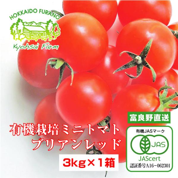 【発売日：2026年06月22日】有機栽培ミニトマト ブリアンレッド3kg×1箱（１kgあたり約1,760円）安心・安全の有機農場で栽培されたオーガニックミニトマトです。市場で品質五つ星と高い評価を受ける「ブリアンレッド」は宝石ともダイヤと...