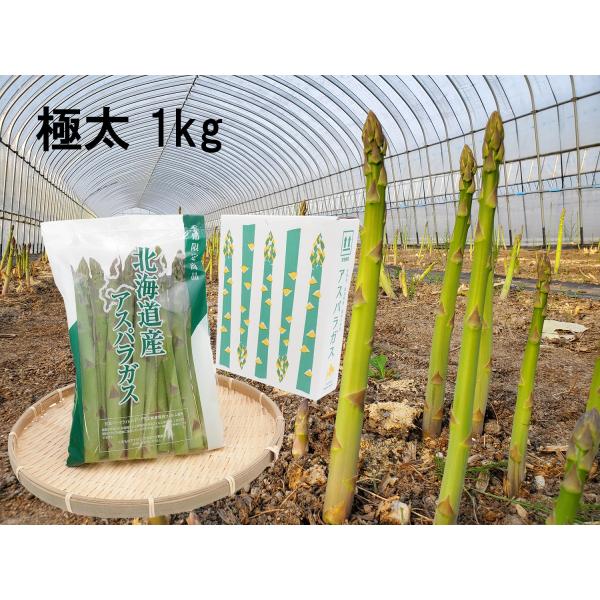 【発売日：2026年04月21日】受付期間：2026年5月7日まで発送期間：2026年4月中旬より順次発送本数の目安：約30本 / L〜2Lサイズ※パッケージが変更される場合があります。※こちらの商品は【送料無料】です。(沖縄・離島を除く)...