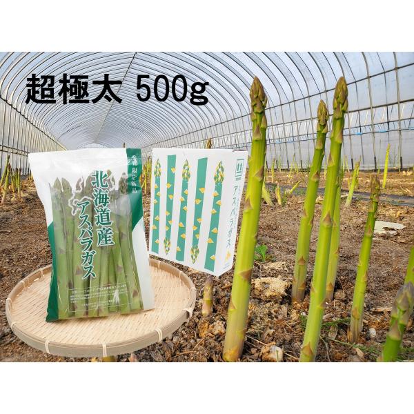 【発売日：2026年04月21日】受付期間：2026年5月7日まで発送期間：2026年4月中旬より順次発送本数の目安：約10本 / 2〜3Lサイズ※パッケージが変更される場合があります。※こちらの商品は【送料無料】です。(沖縄・離島を除く)...