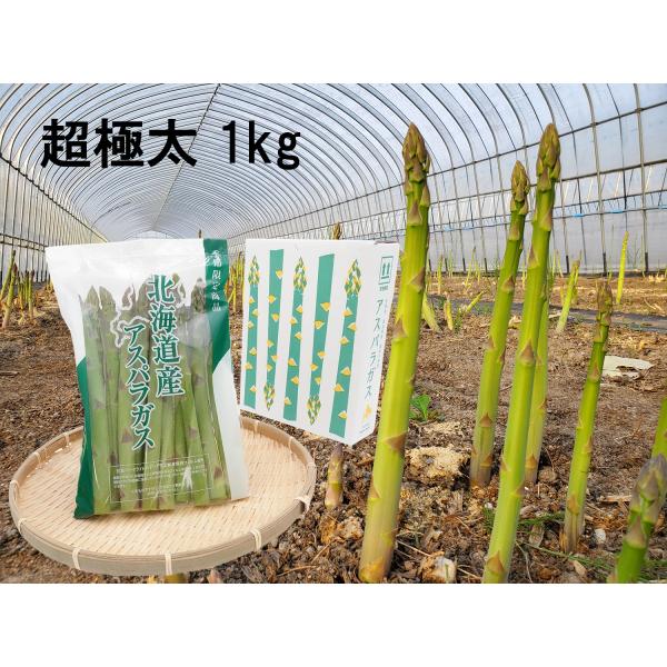 【発売日：2026年04月21日】受付期間：2026年5月7日まで発送期間：2026年4月中旬より順次発送本数の目安：約20本 / 2〜3Lサイズ※パッケージが変更される場合があります。※こちらの商品は【送料無料】です。(沖縄・離島を除く)...